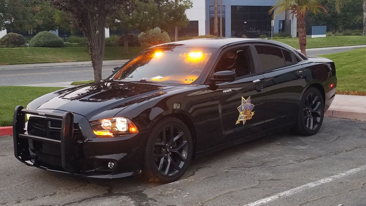 Dynasty Protective Services & Investigations